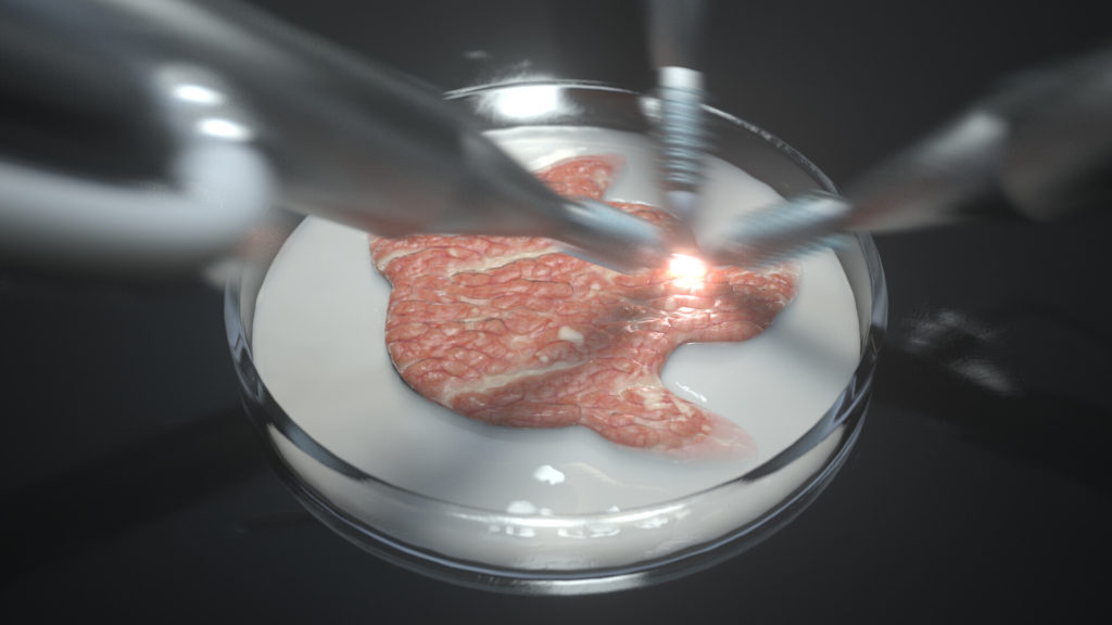 A CRITICAL OVERVIEW OF THE CONCEPT OF MEAT PRODUCED IN LABORATORIES ...