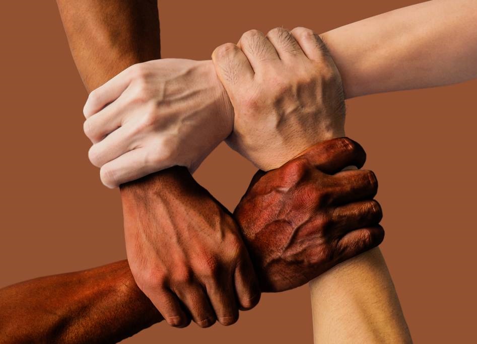 BROTHERHOOD MANIFESTO-Ⅱ – Halal Certification in Turkiye